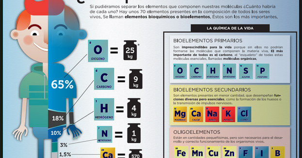 Los Bioelementos - Banco de Preguntas de Biología