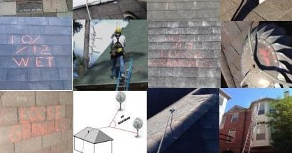 Risk Managed Roof Inspection: Ladder Assist Workers Gorging on the Work ...