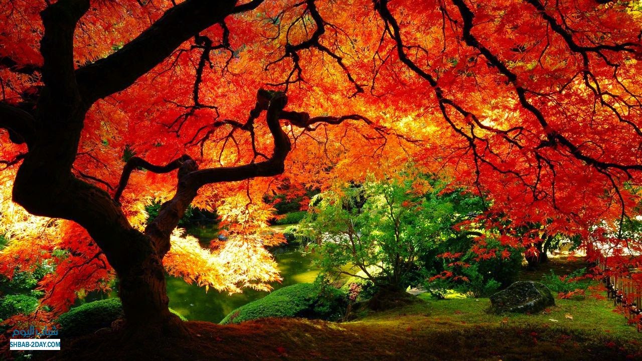 AS MAIS BELA PAISAGENS DO PLANETA