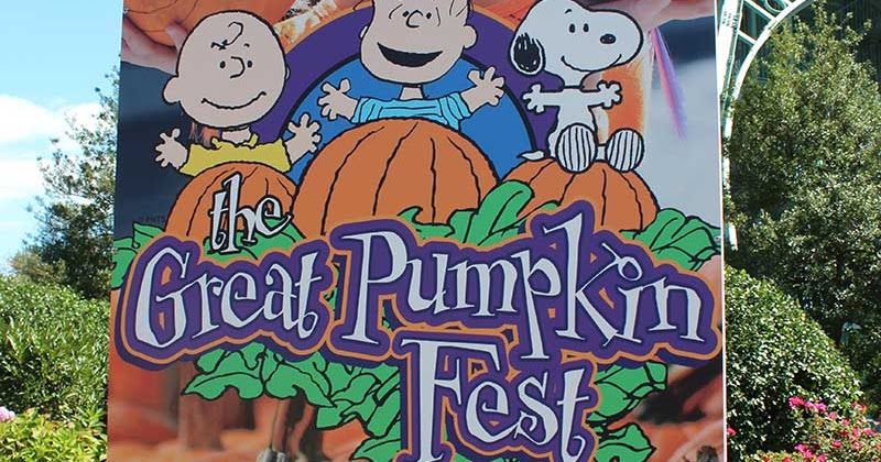 The Ultimate Fun Day for Great Pumpkin Fans | Sunny Day Family