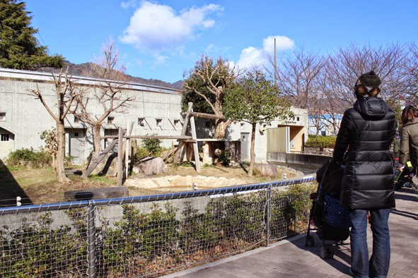 Zoos in Japan: The Panda in Kobe