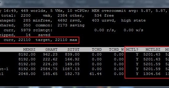 Elastic Sky X: VMware Memory Management