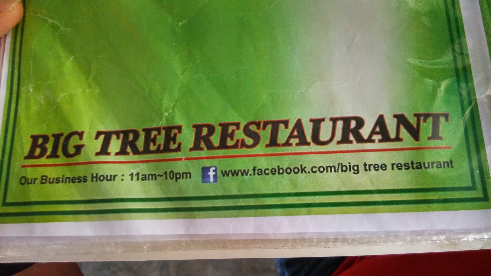 Our Journey : Kedah Kulim - Big Tree Restaurant "香树下河鲜"