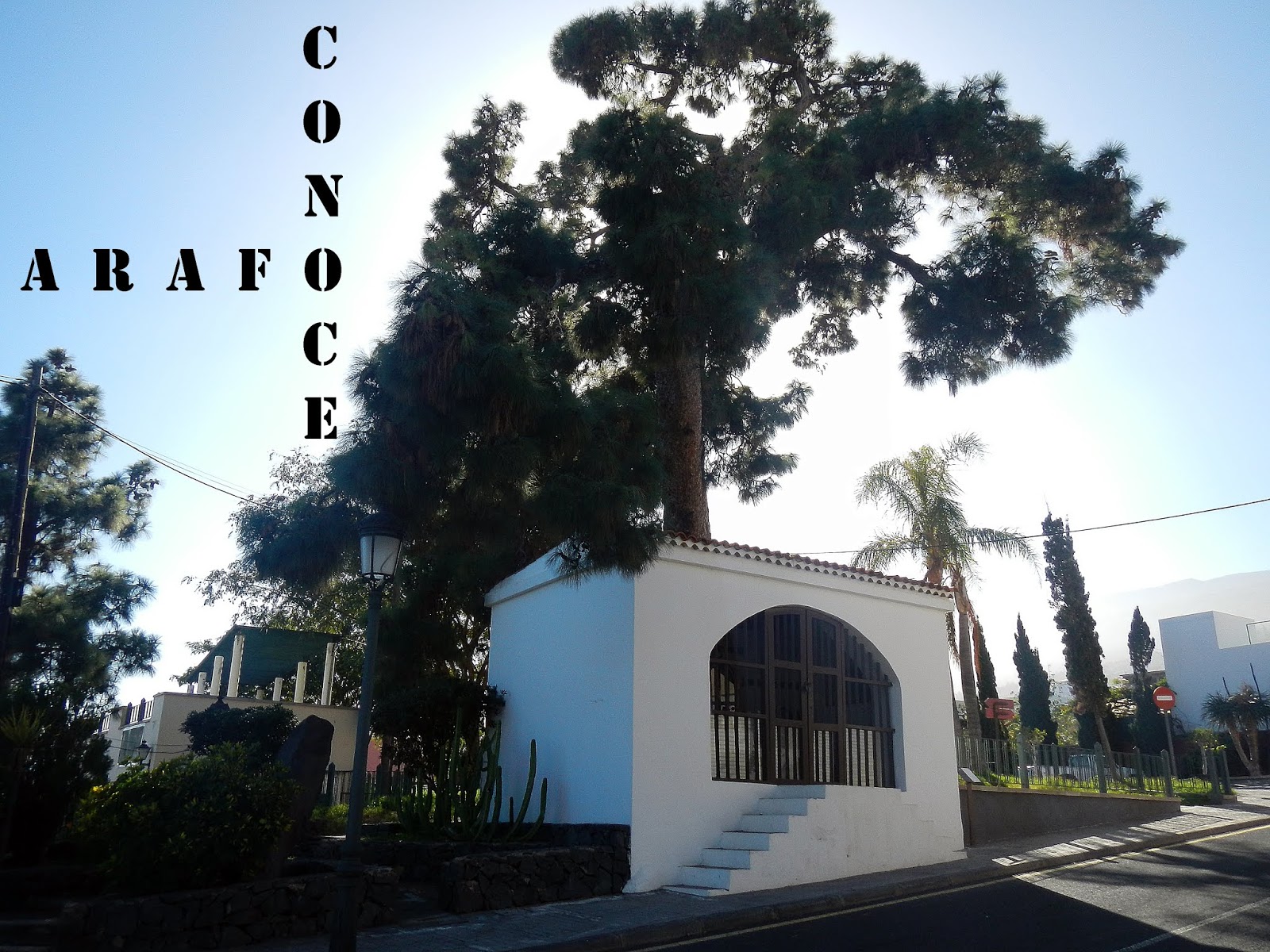 CONOCE ARAFO: SEÑAS DE IDENTIDAD DE ARAFO