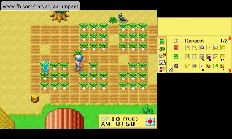 Harvest Moon DS NDS Game Review on Android | Indo PhoneBoy