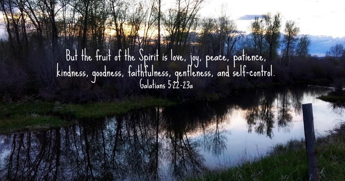 Beyond The Picket Fence: Sunday Verses