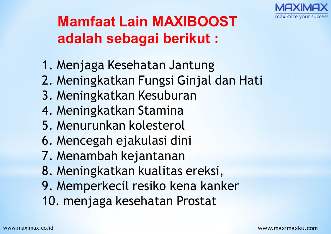 GAYA HIDUP BUGAR DAN PENUH VITALITAS ALA MAXIMAX