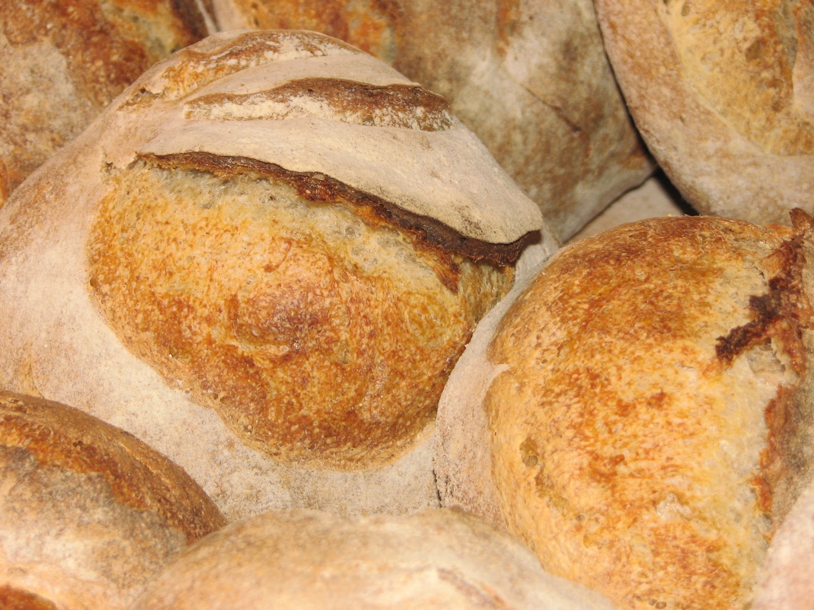 Mad Coyote Joe's Blah Blah Blog: Bread from the Wood Fired Oven