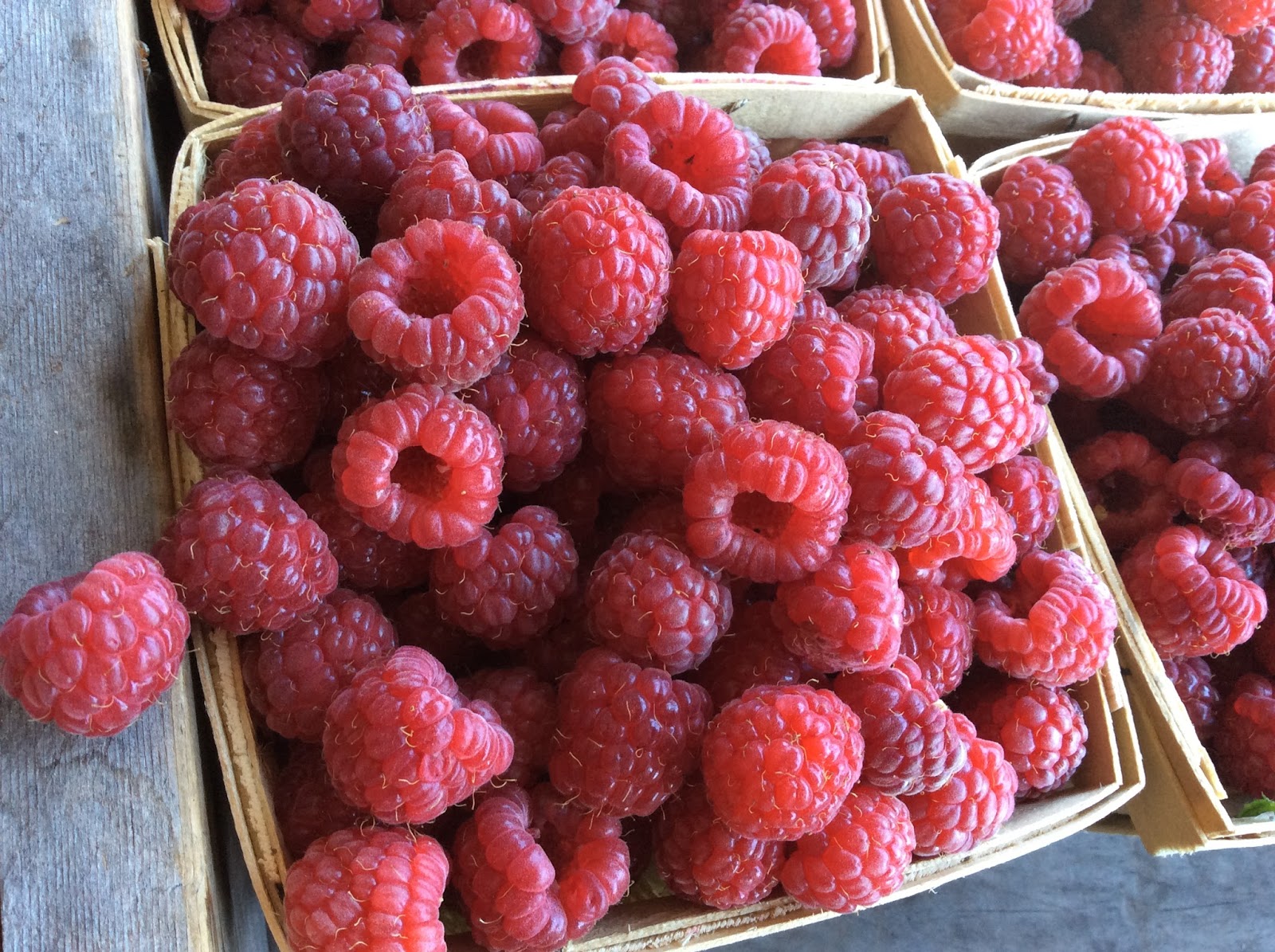 Crane Berry Farm: July 2015