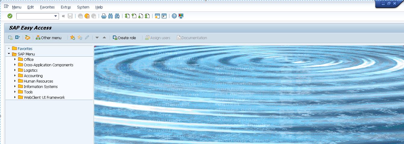 SapBlog.in: How to Login to SAP Gui