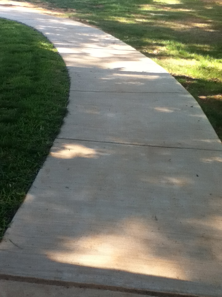 Photography Project: Repetition Examples