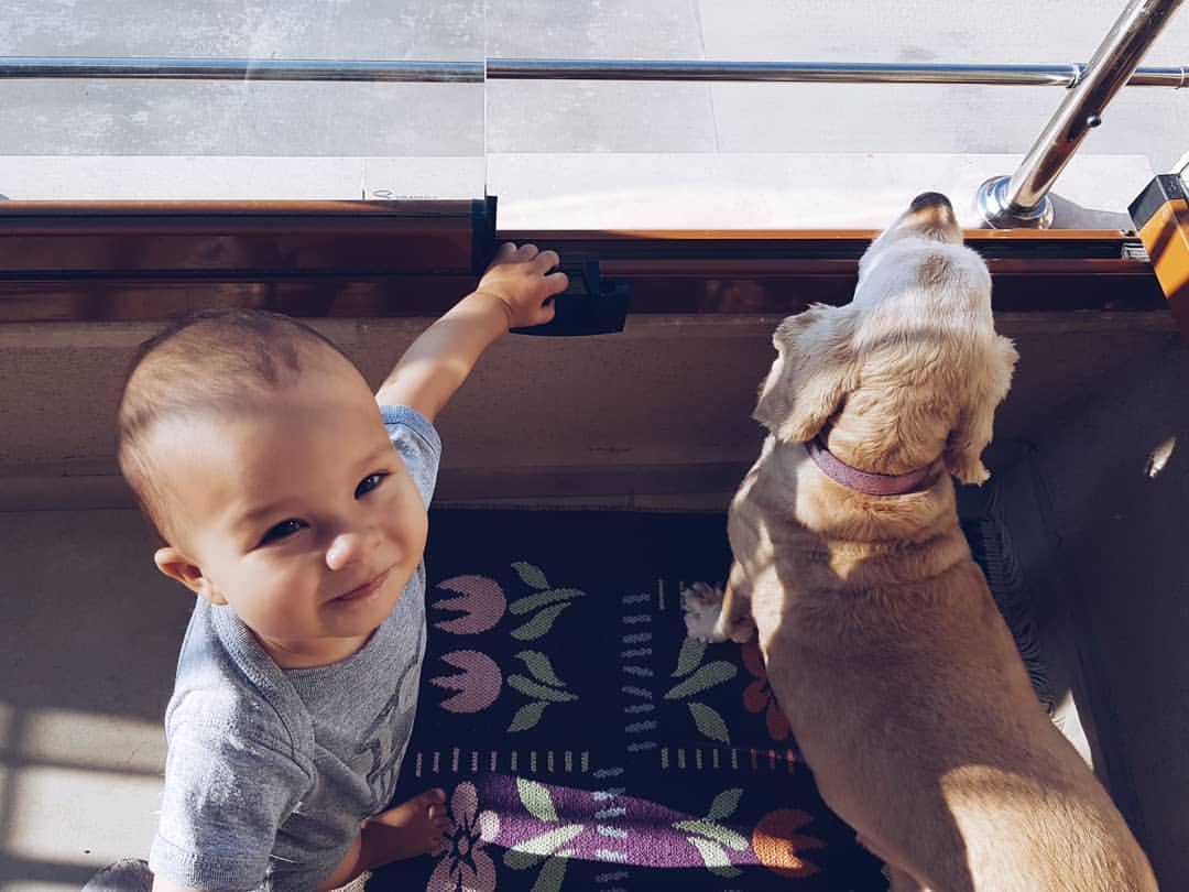 18 - 24 Ay Arası Bebekler İçin Aktiviteler Ve Oyuncaklar - Bir Kelebenk ...