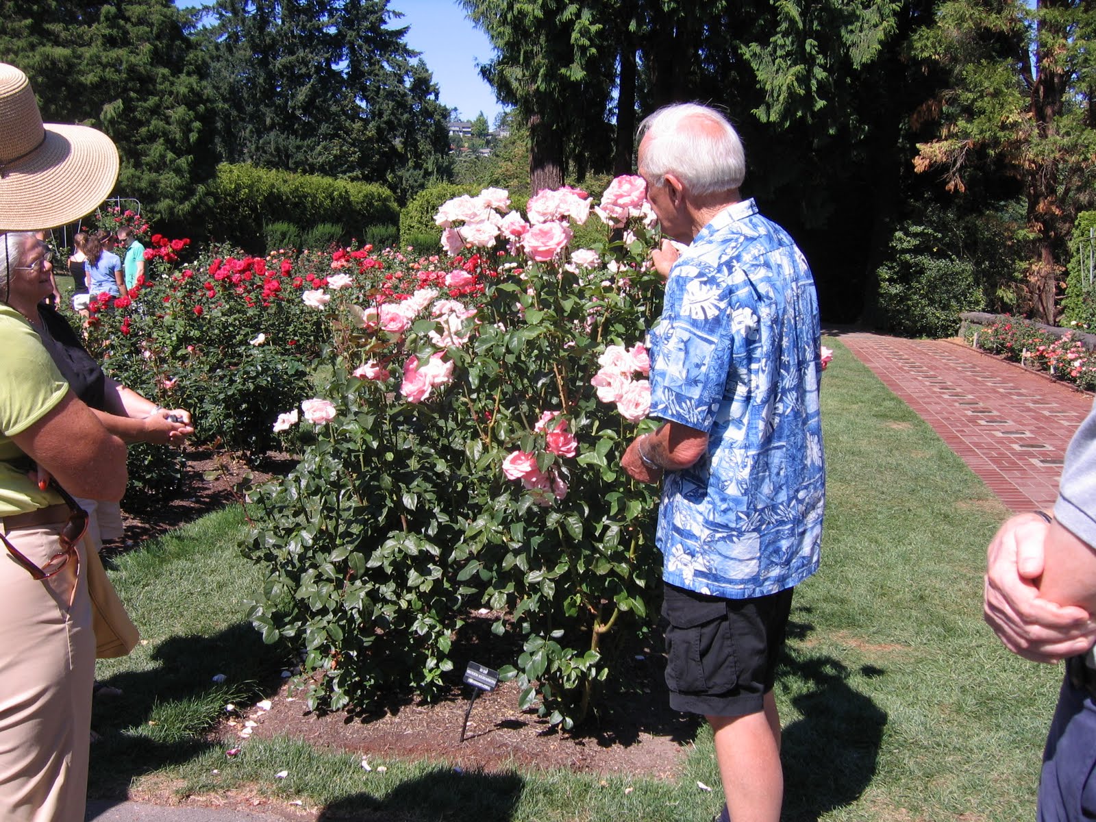 Twenty Six Point Two: PDX Love