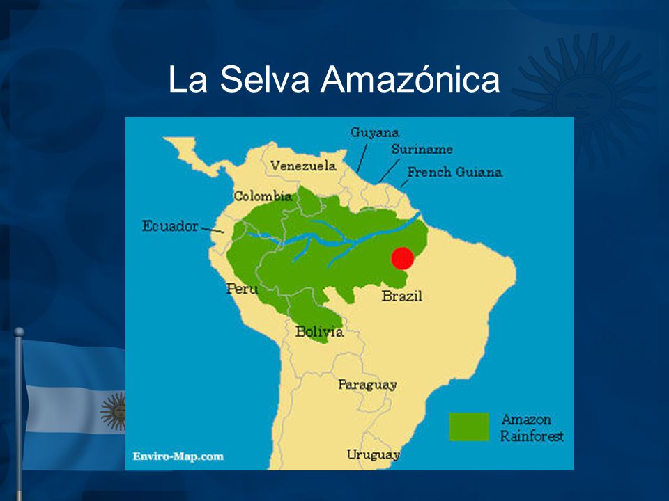 SELVA AMAZÓNICA