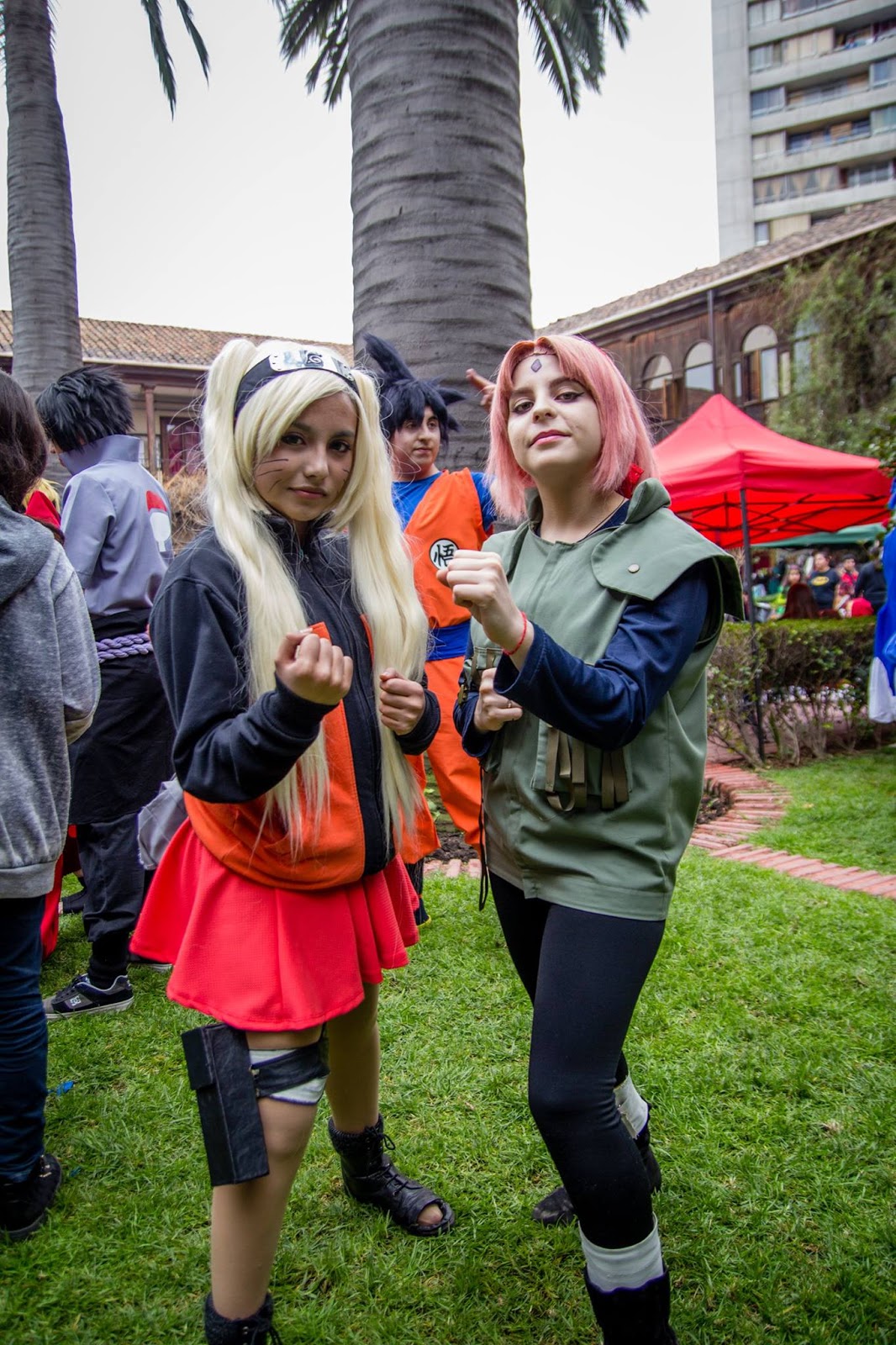 Galería Cosplay Día Internacional del Cosplay 2015 - Santiago, Chile ...
