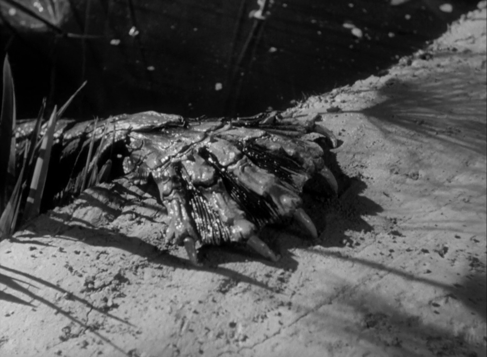 Film Reviews from the Cosmic Catacombs: Creature from the Black Lagoon ...