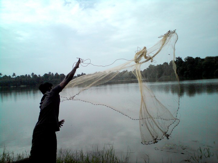 pavumba പാവുമ്പ: Pavumba Image Gallery