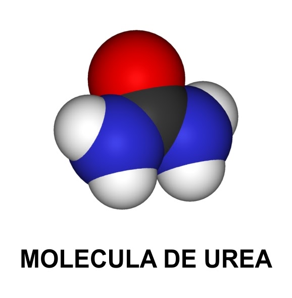 Homo agricola: De la urea y sus derivados...