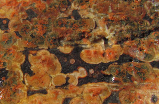 The Agatelady: Adventures and Events: Muskallonge State Park's Rock On ...