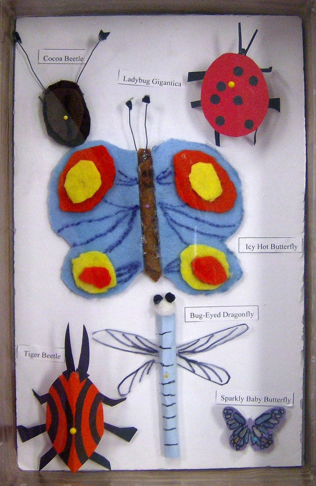 Blackfoot Art Center: Bug Collections