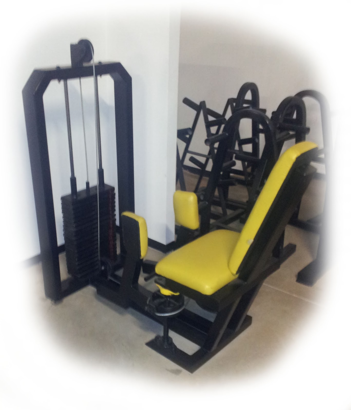 NEW BODY POWER SYSTEM : EQUIPOS DE GIMNASIO, EQUIPOS ARTICULADOS ...
