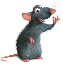 MENCIT (MUS MUSCULUS) ~ GUDANG ILMU PENGETAHUAN