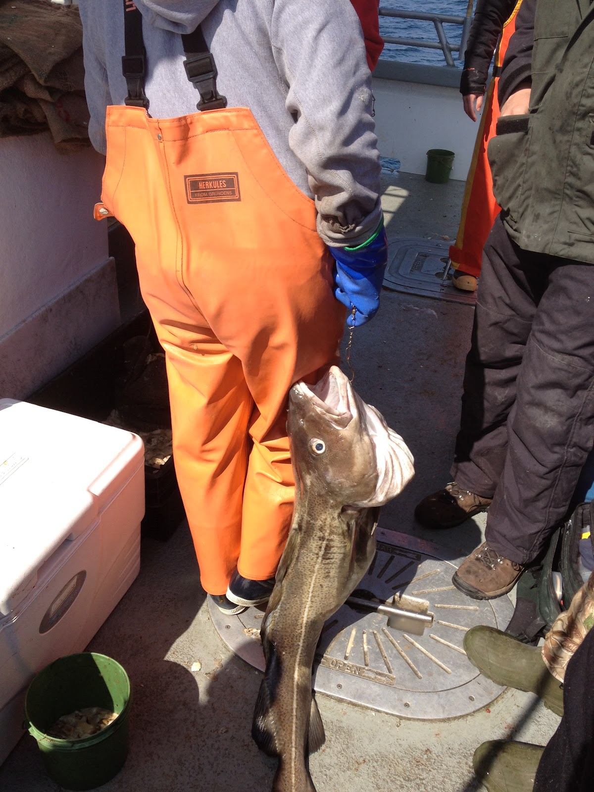 215fishspot: Spring Cod Fishing - Cox Ledge Report, March 18-19, 2012
