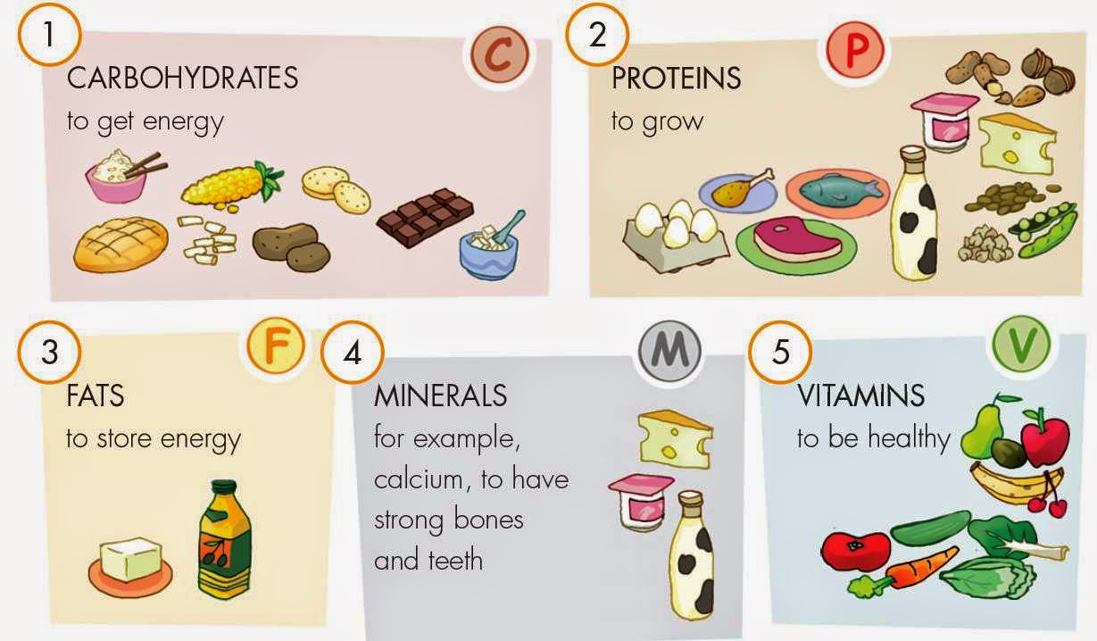 Gummy bears' blog: Food and nutrients