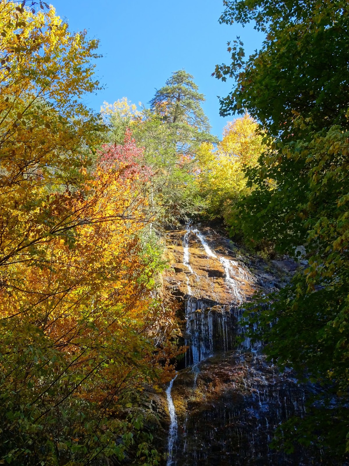 Femme au foyer: Mingo Falls and Cherokee, NC