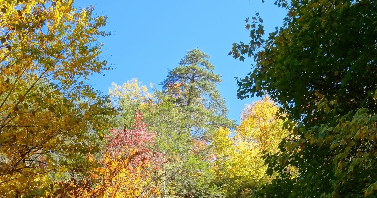 Femme au foyer: Mingo Falls and Cherokee, NC