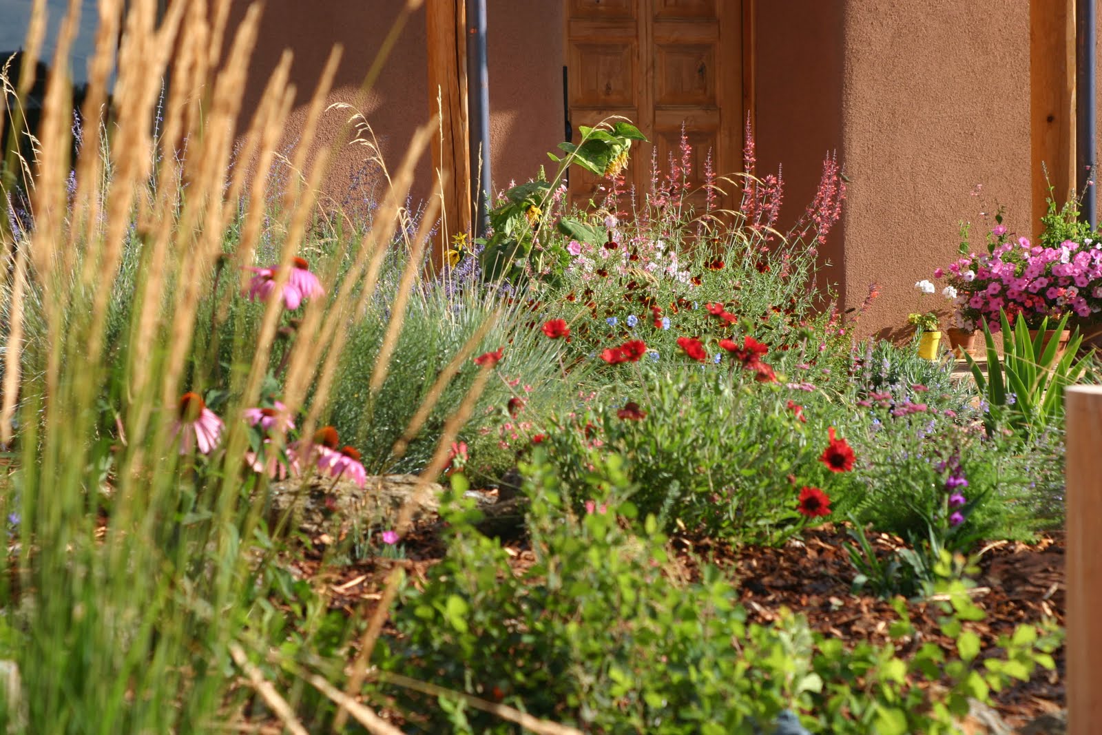 Building a double adobe wall house