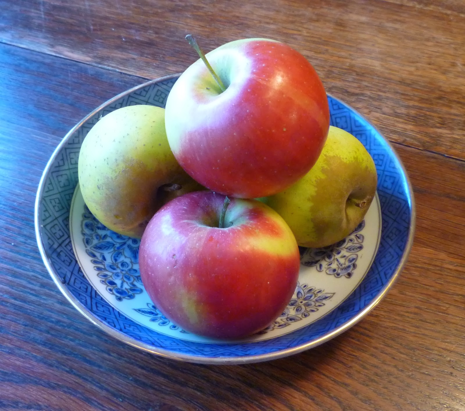 Gladsome Lights: Fuyu and Spy Lessons