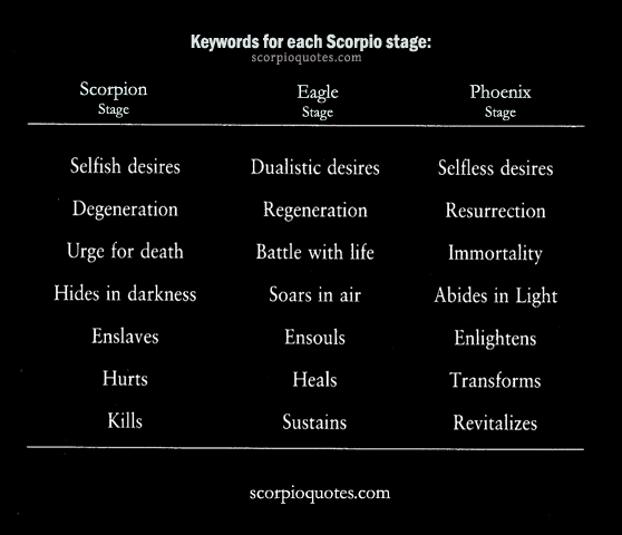 Keywords for Each Scorpio Stage | Scorpio Quotes