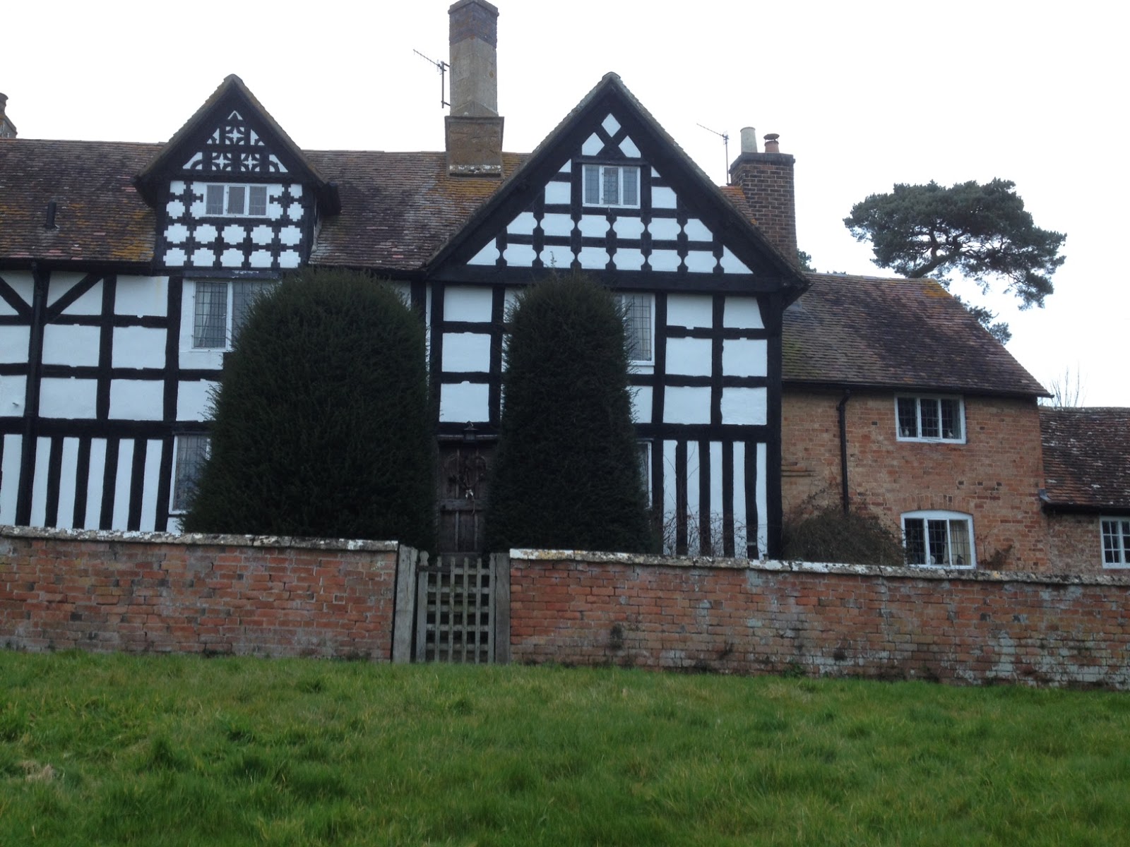 One Hundred Days of History: Day 38. Preston's Yew Trees