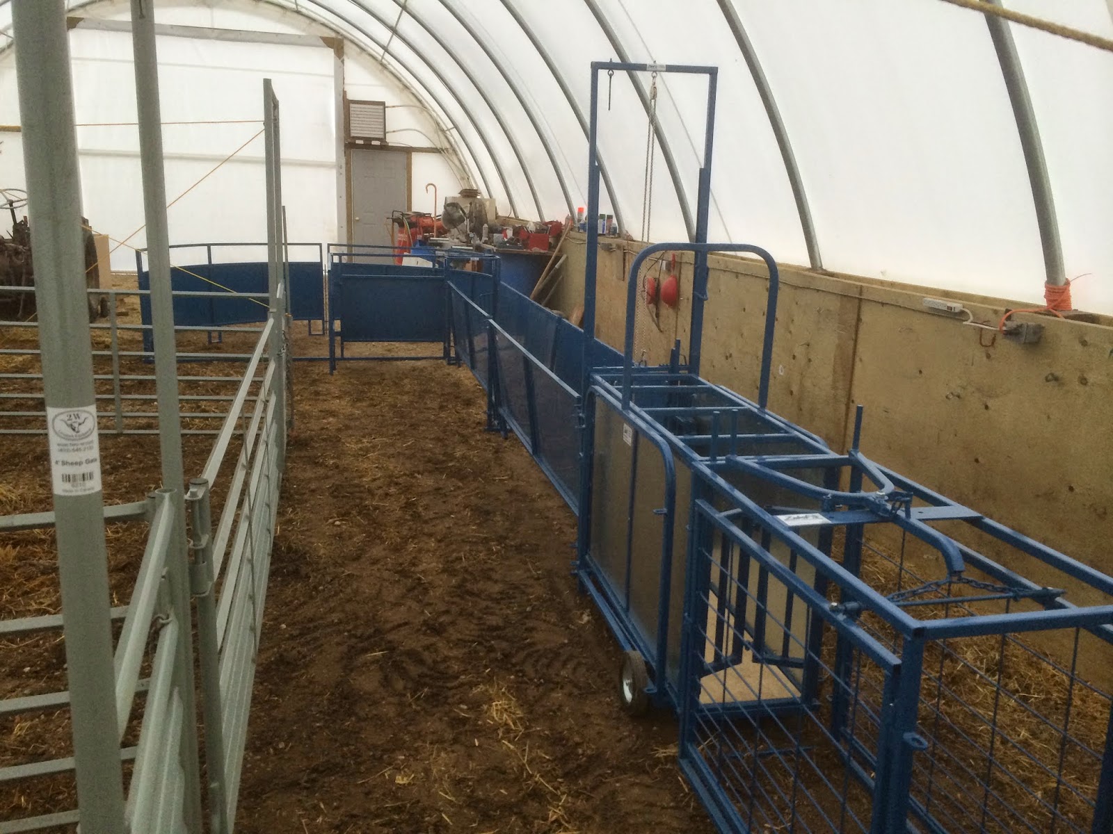 Living Sky Ranch: New Sheep Handling Equipment