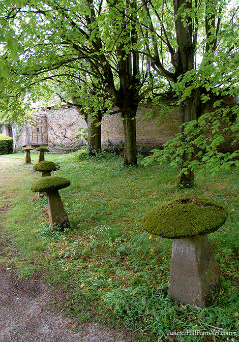 Juniper Hill: Staddle Stones