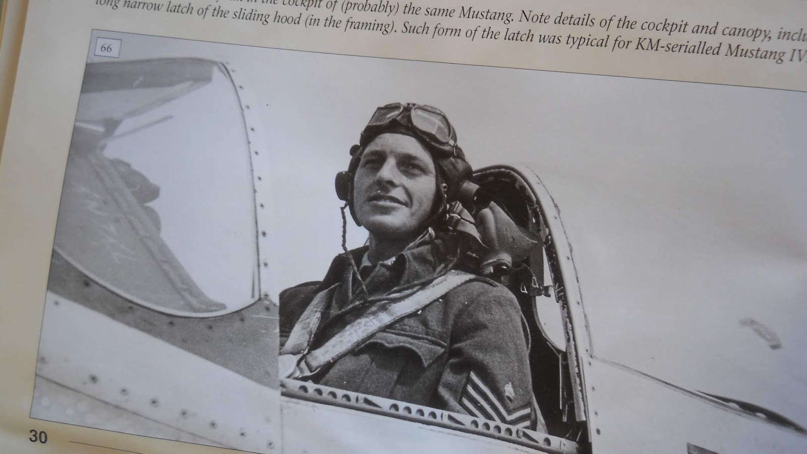 Scale Model Kit Review Blog (SMKR): MMP Books Polish Wings 23 - 303 ...