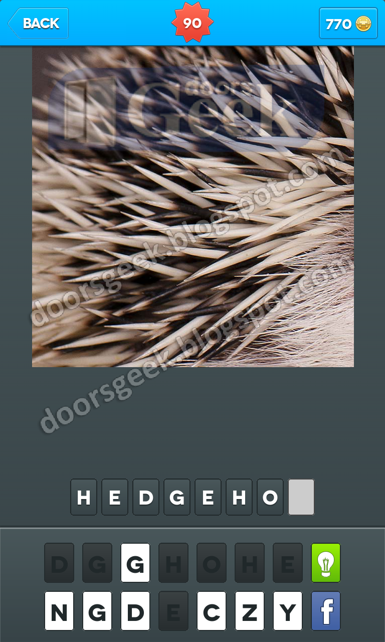 Zoomed In - Photo Word Game Level 90 ~ Doors Geek