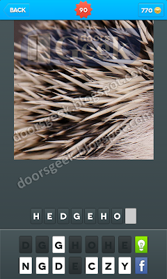 Zoomed In - Photo Word Game Level 90 ~ Doors Geek