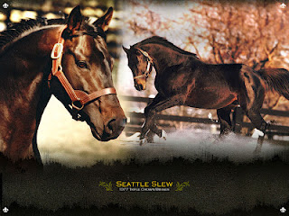 Gloria de Campeones: Seattle Slew triplecoronado invicto