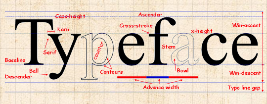 Font - Anoosha's blog