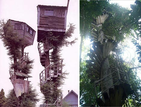 Amazing Tree Houses In Africa