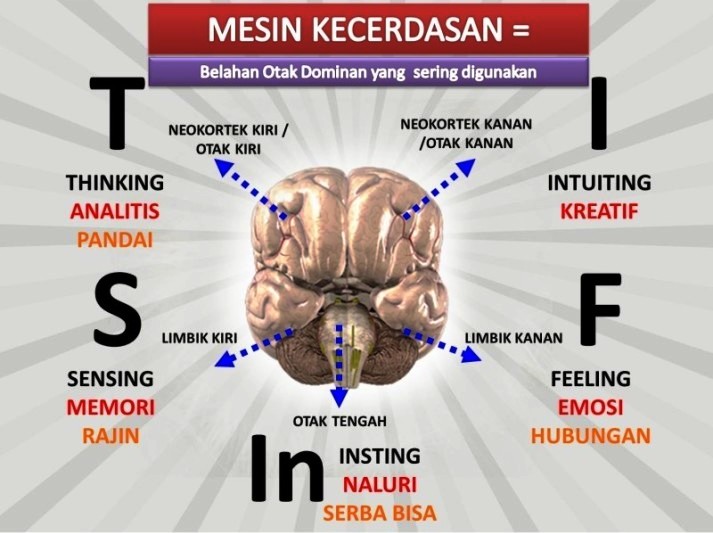 STIFIn | STIFIn Tes Bakat dan Minat