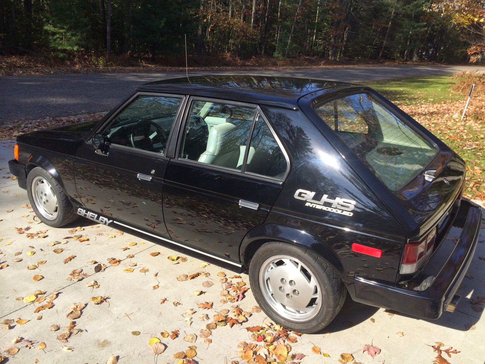 10k: Dodge Pants Shelby Hat: 1986 Shelby GLH-S - DailyTurismo