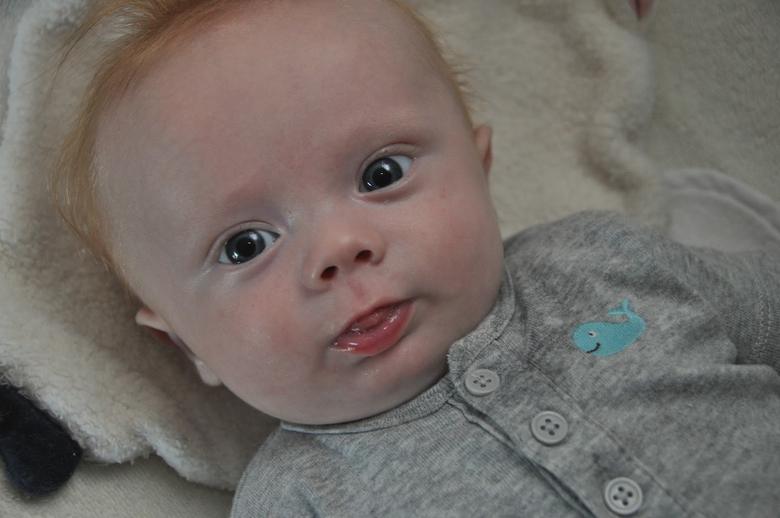 Baby With a Red Mohawk: Sir Francis Drake Has Nothing On Me