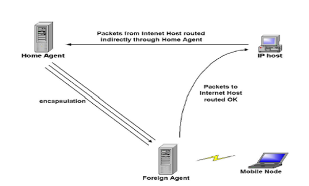 Mobile Internet Protocol | InfoTech