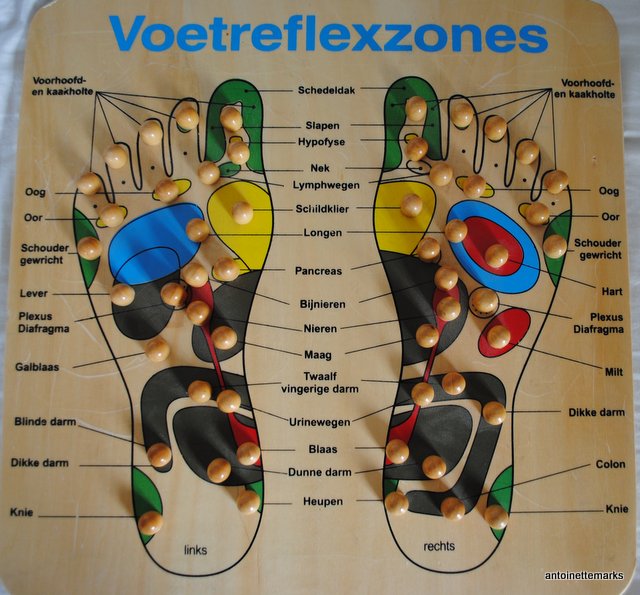 The Garden Room: Voetreflexzone