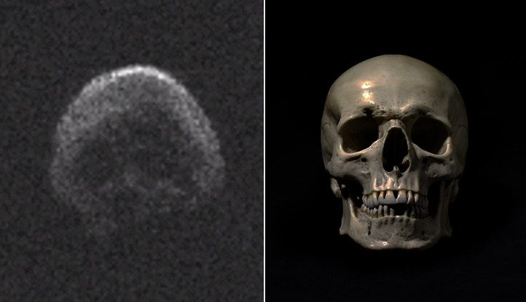 ¿La muerte interestelar? El regreso del asteroide en forma de calavera ...