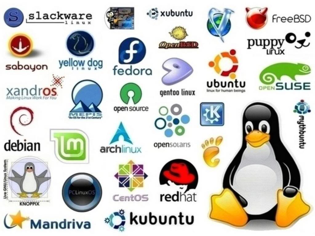 faktor12: Tuxcabulario #4: “Qué es una Distribución de Linux?”