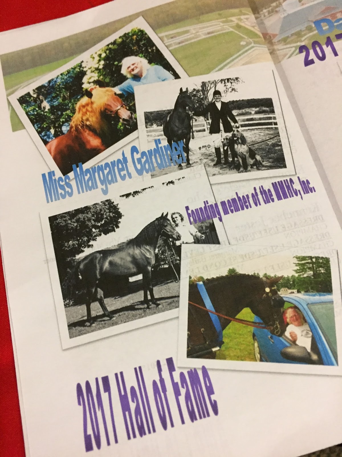 Maine Morgan Horse Club Banquet and Annual Meeting 2017
